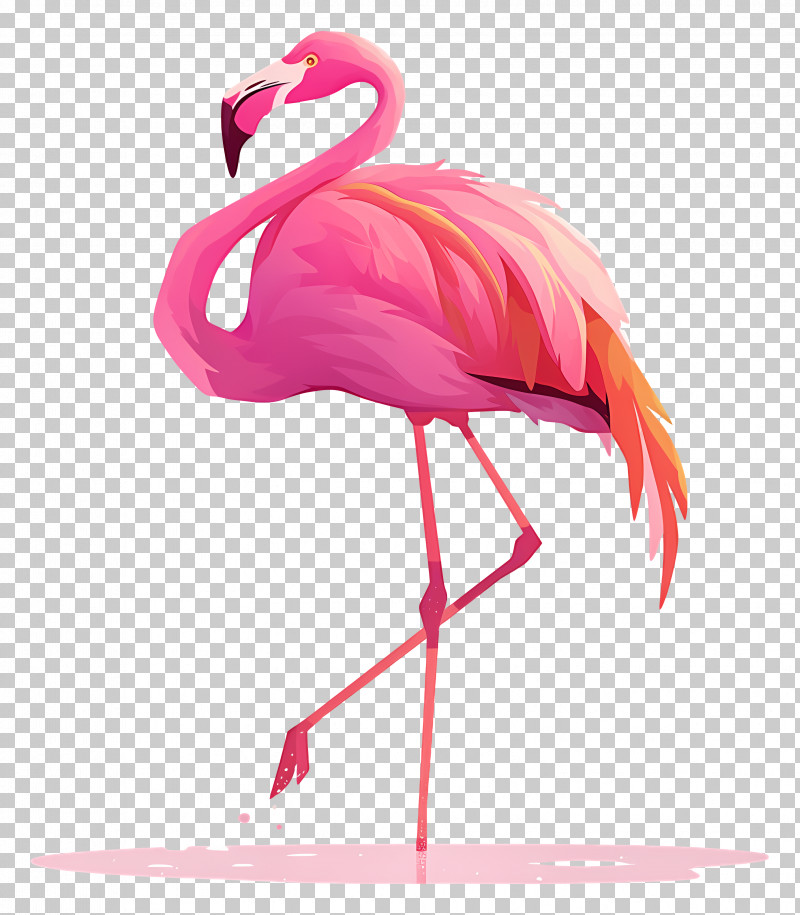 Cute Pink Flamingo - Graceful Pink Flamingo Standing PNG, Clipart, Cute ...