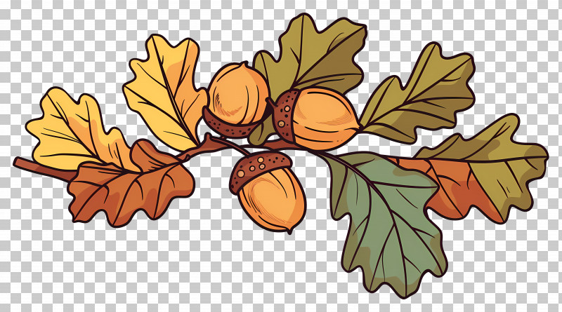 Autumn Branch - Oak Leaves And Acorns Illustration For Autumn Themes ...