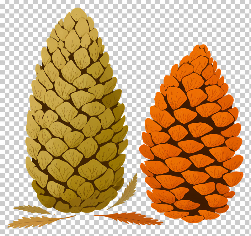 Pine Cones - Illustrated Pinecones In Natural Colors PNG, Clipart ...