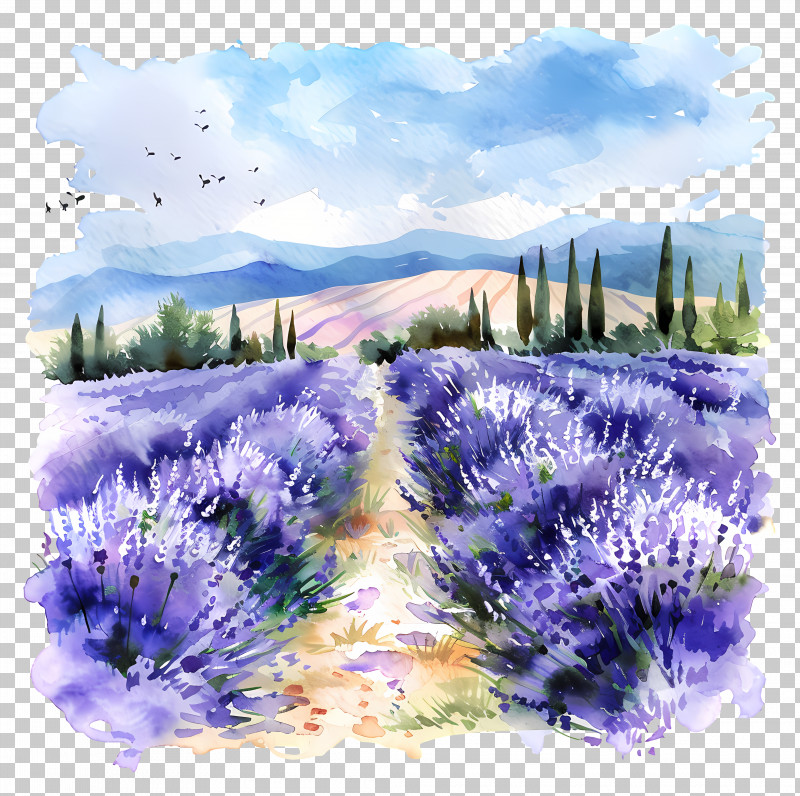 Lavender Fields - Serene Lavender Field Landscape With Blue Skies PNG ...