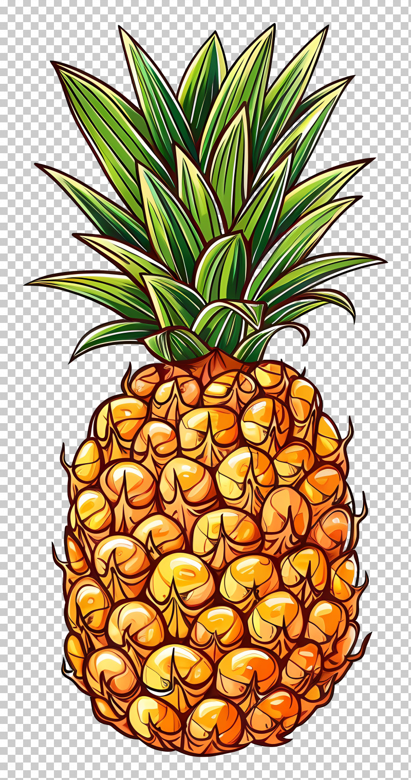 Pineapple - Illustration Of A Fresh Pineapple With Green Leaves PNG ...