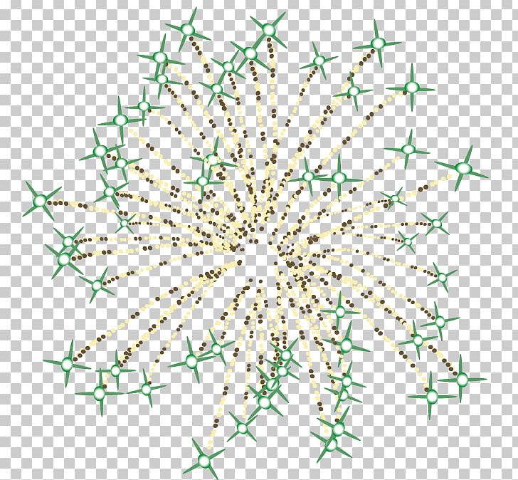 Symmetry Pattern Line Point Flower PNG, Clipart, Area, Art, Branch ...