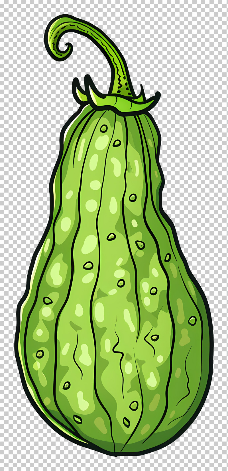 Green Gourd Vector Illustration - Green Gourd Vector Illustration PNG ...