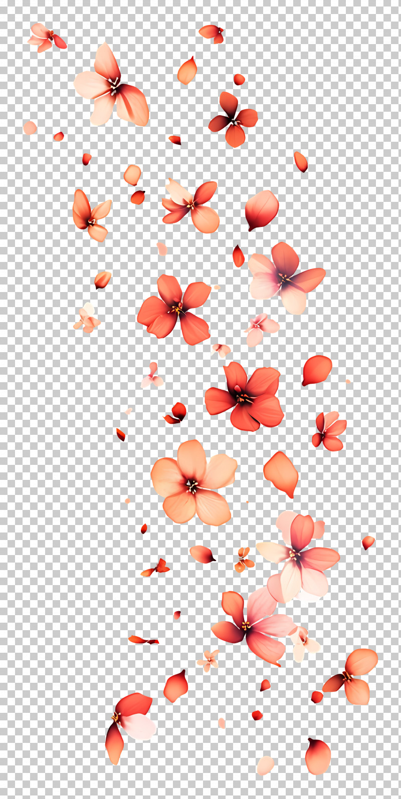 Falling Flowers - Illustration Of Scattered Cherry Blossom Petals PNG ...
