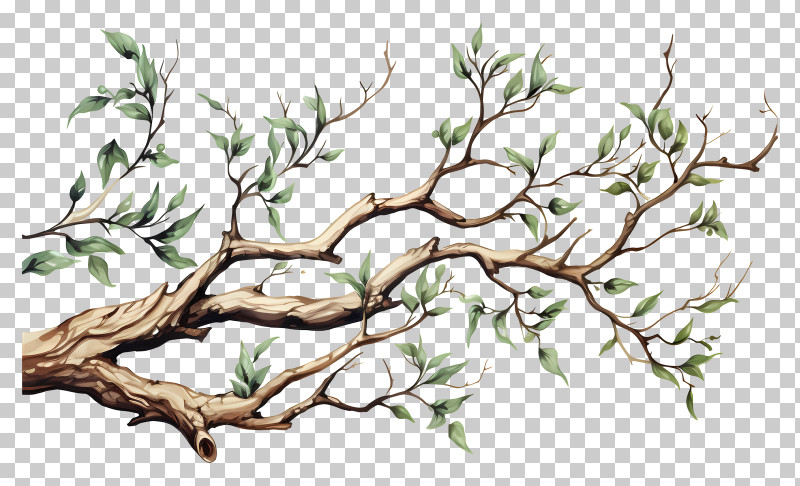 Sketch Style Tree Branch - Tree Branch With Green Leaves Illustration ...