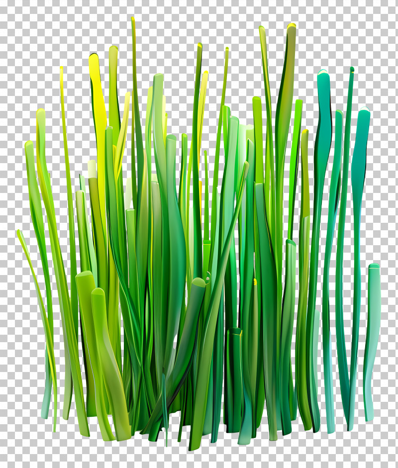 Grass Plant - Stylized Green Grass For Artistic Decor PNG, Clipart ...