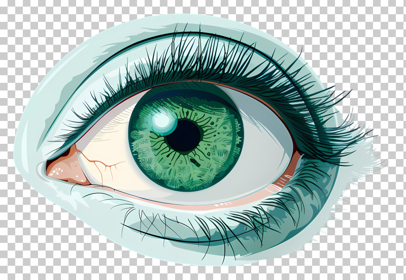 Green Eye - Detailed Green Eye Illustration PNG, Clipart, Colorful ...