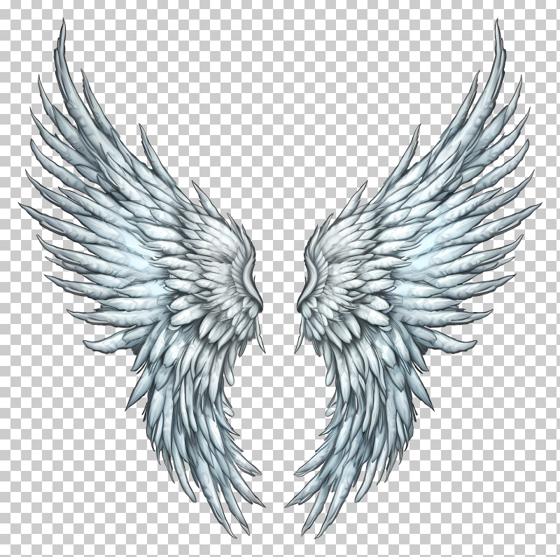 Doodle Angel Wings - Realistic Angel Wings In White PNG, Clipart, Airy ...