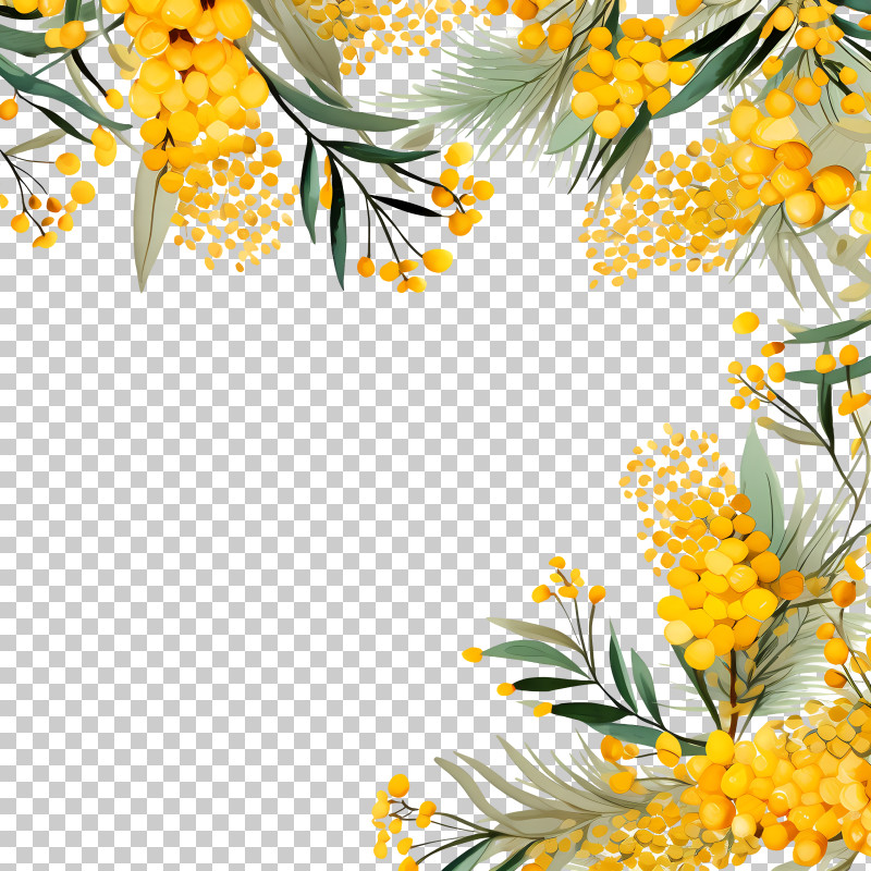 Golden Wattle - Yellow Flower Frame With Green Leaves PNG, Clipart ...