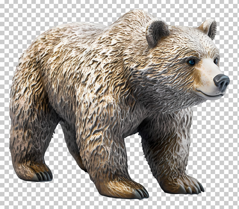 Grizzly Bear - Realistic Grizzly Bear Illustration PNG, Clipart, Animal ...