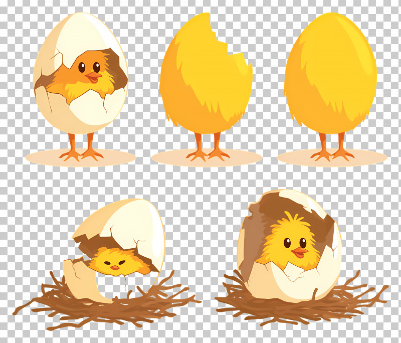 Hatching Eggs - Chicks Hatching From Eggs PNG, Clipart, Chicks Hatching ...