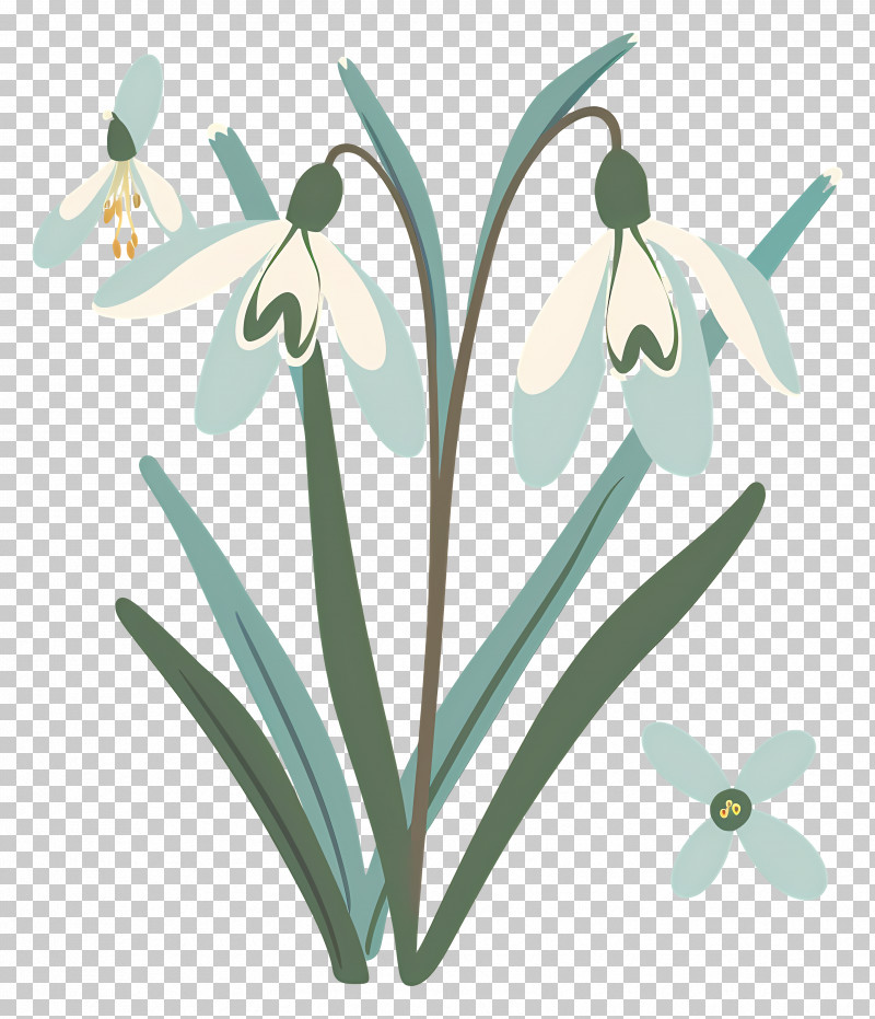 Snowdrops - Stylized Snowdrop Flowers Illustration PNG, Clipart ...