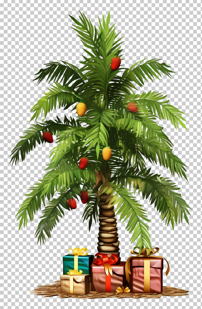 Palm Tree Gifts - Tropical Christmas Palm Tree With Gifts PNG, Clipart ...