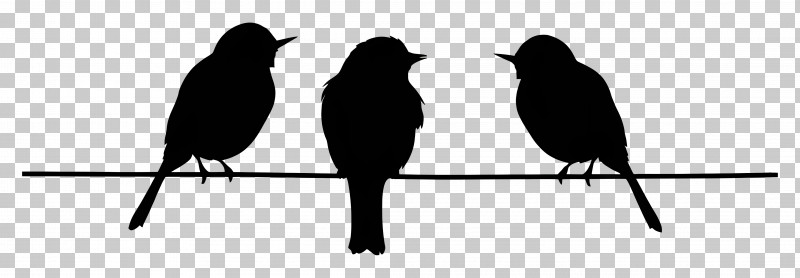 Birds Sitting On A Wire - Bird Silhouettes On A Wire PNG, Clipart ...