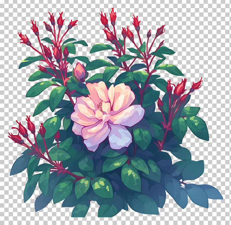 Flower Bush - Beautiful Flowering Plant Illustration PNG, Clipart ...