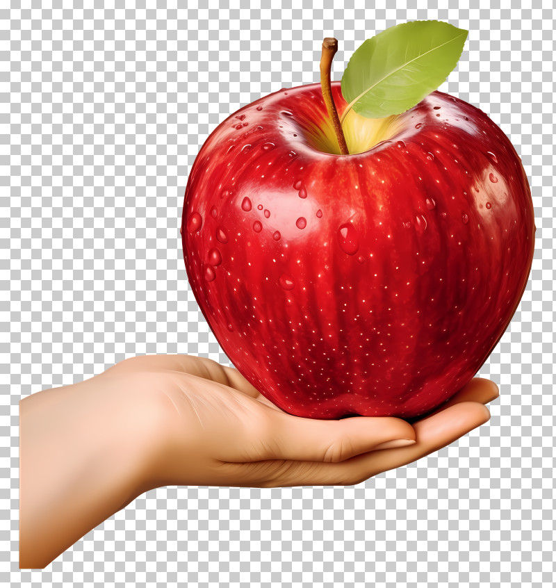 Red Apple - Red Apple Held In Hand For Healthy Gesture PNG, Clipart ...
