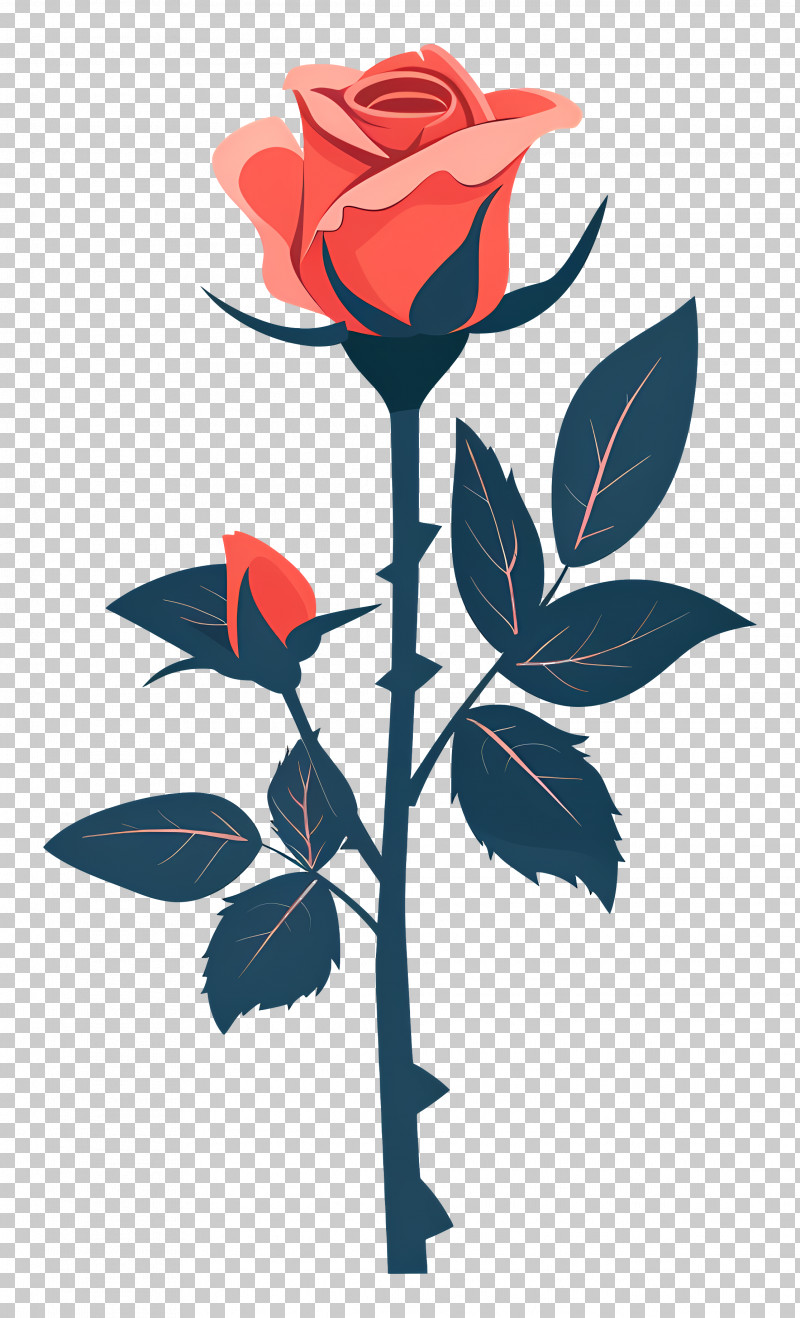 Single Rose - Elegant Pink Rose Illustration PNG, Clipart, Botanical ...