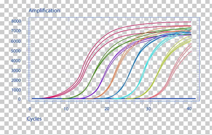 Real Time Polymerase Chain Reaction Taqman Sybr Green I Hybridization Probe Png Clipart Angle