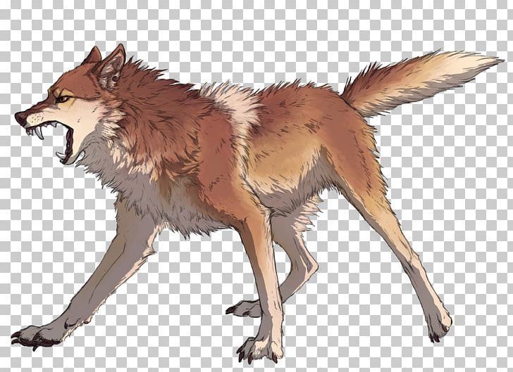 Coyote Dingo Dhole Red Fox Canis Ferox PNG, Clipart, Animal, Animals ...