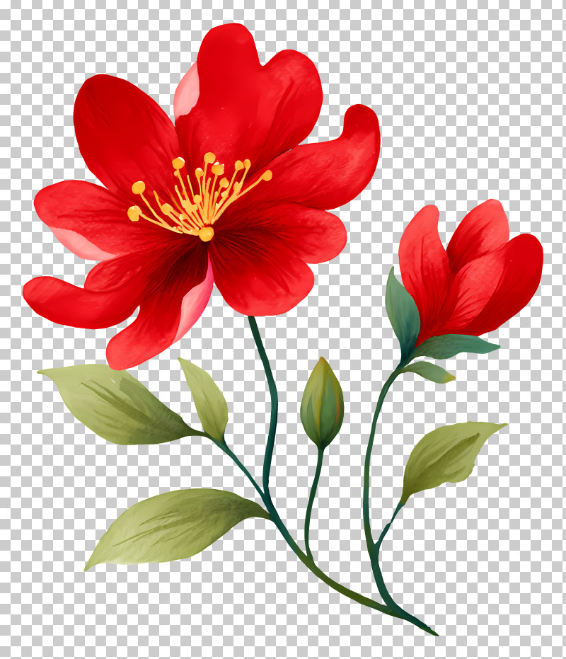 Watercolor Red Flower - Red Flowers In Bloom PNG, Clipart, Beauty ...
