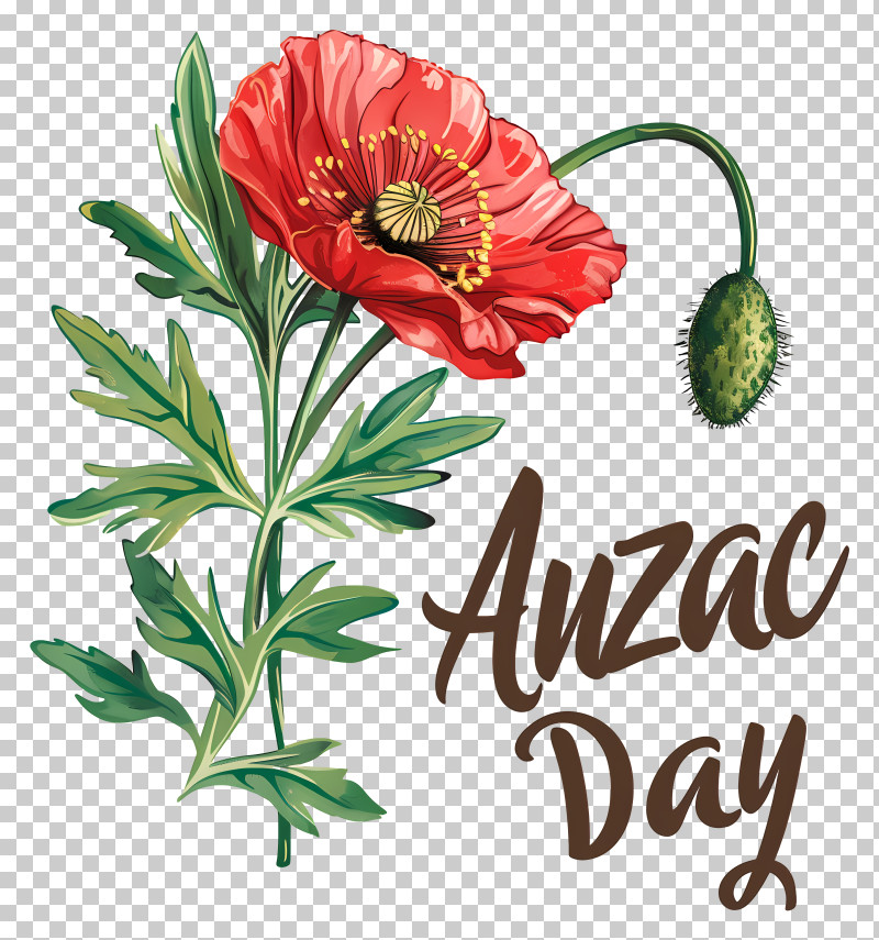 Anzac Day - Red Poppy For ANZAC Day PNG, Clipart, Anzac Day ...