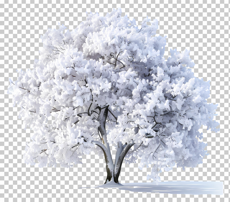 Snowy Tree - Snow-Covered Winter Tree Scene PNG, Clipart, Christmas ...