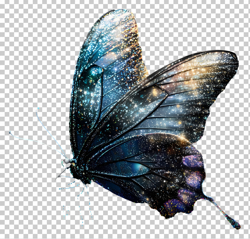 Glitter Butterfly - Purple Glitter Butterfly PNG, Clipart, Beauty ...