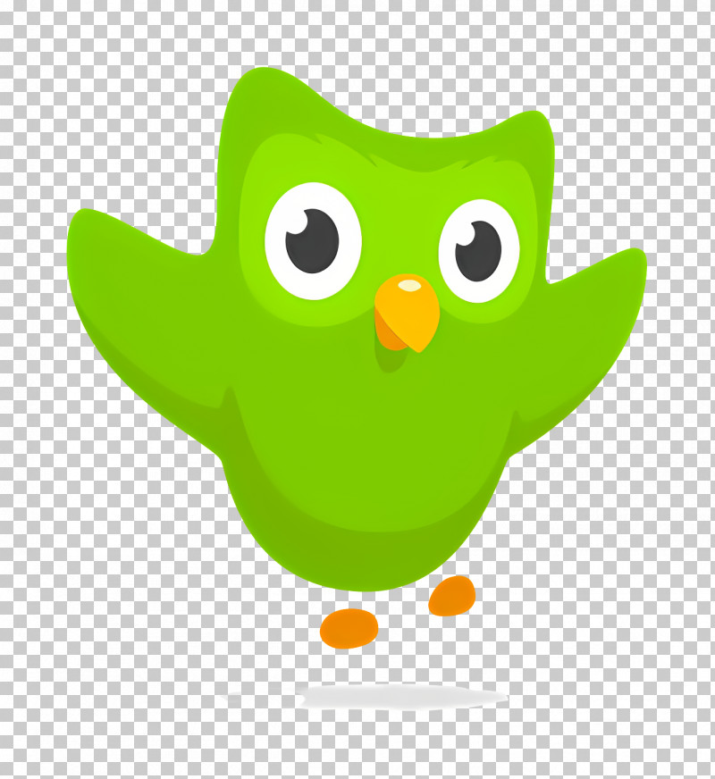 Duolingo Logo - Duolingo Owl Mascot For Language Learning PNG, Clipart, App, Bird, Cute ...