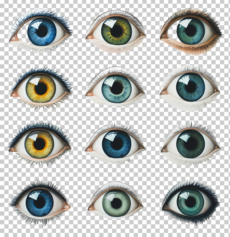 Googly Eyes - Realistic Human Eye Illustrations PNG, Clipart, Artistic ...