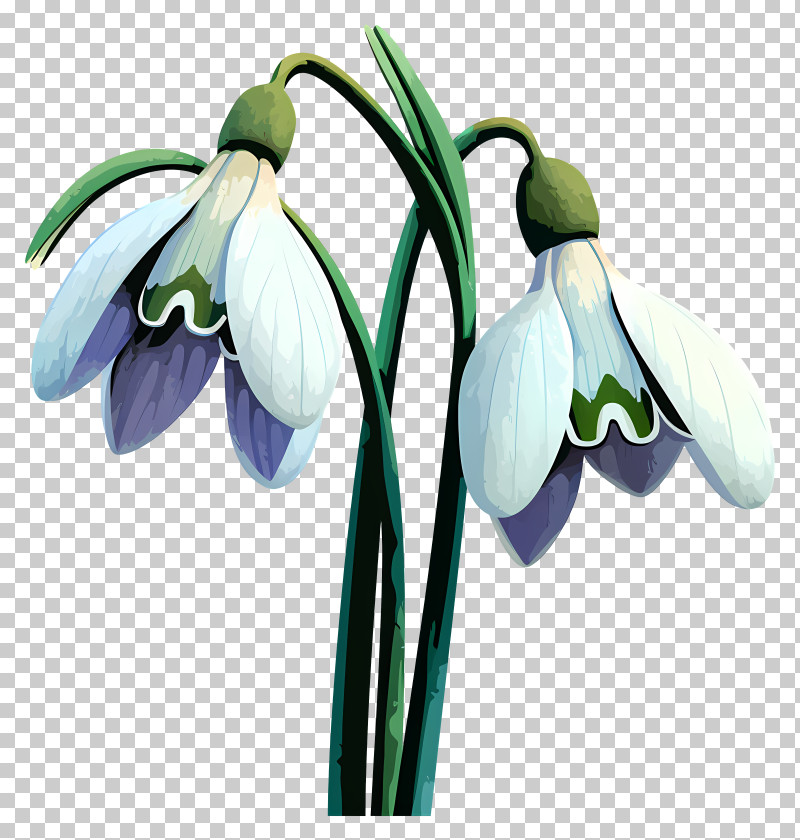 Realistic Style Snowdrop Flower - Snowdrop Flowers Symbolizing Early ...
