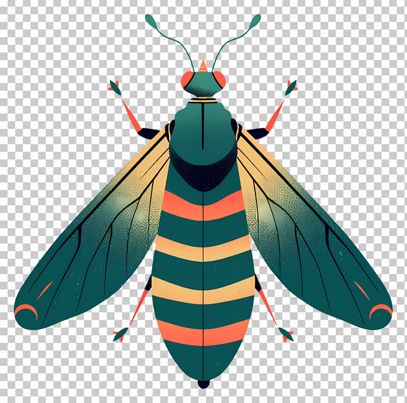 Insect - Colorful Insect With Striped Body PNG, Clipart, Antennae, Bug ... Insect - Colorful Insect With Striped Body PNG, Clipart, Antennae, Bug ...