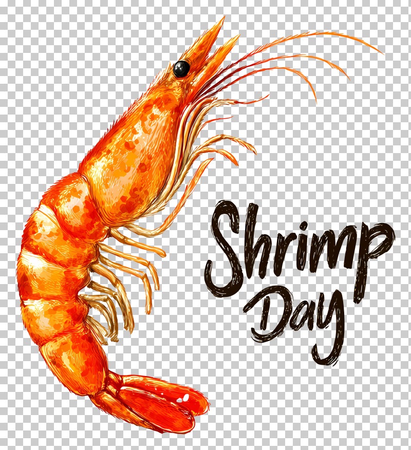 National Shrimp Day - Shrimp Day Celebration Illustration PNG, Clipart ...