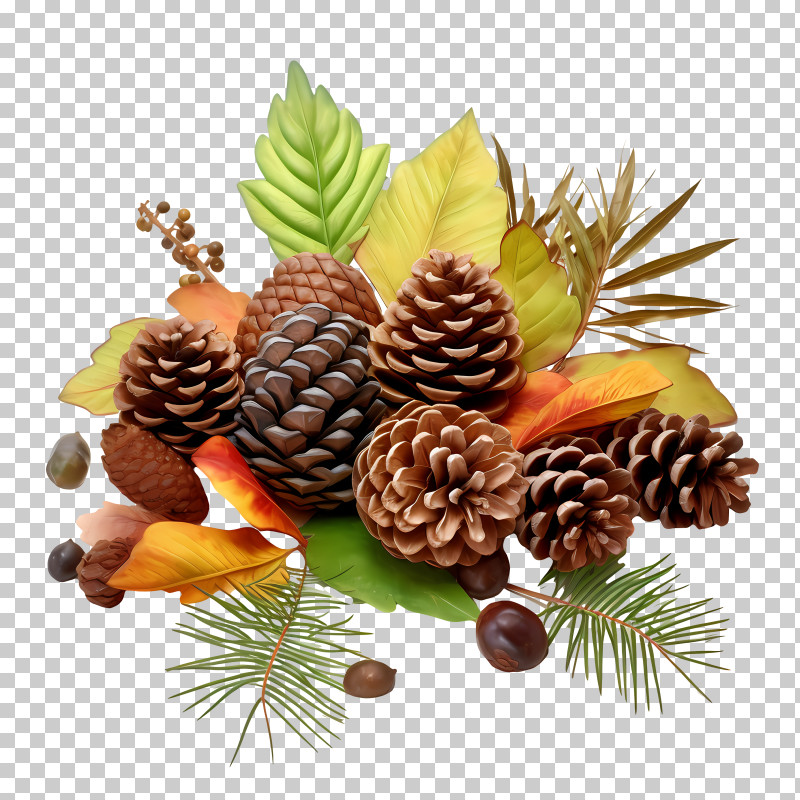 Pinecone - Arrangement Of Pinecones And Autumn Leaves PNG, Clipart ...
