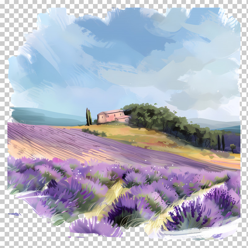 Lavender Field - Lavender Field With A House PNG, Clipart, Countryside ...