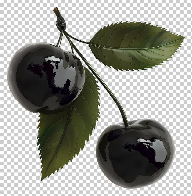 Black Cherry - Juicy Black Cherries With Leaves PNG, Clipart, Berry ...