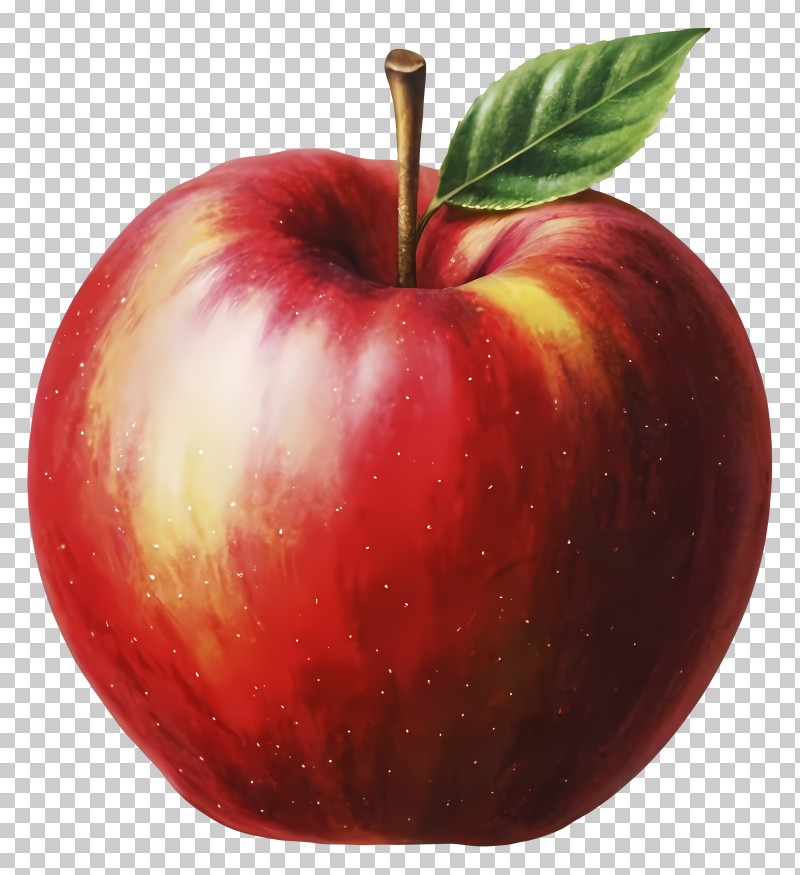 Apple - Shiny Red Apple Illustration PNG, Clipart, Apple, Apple Art ...