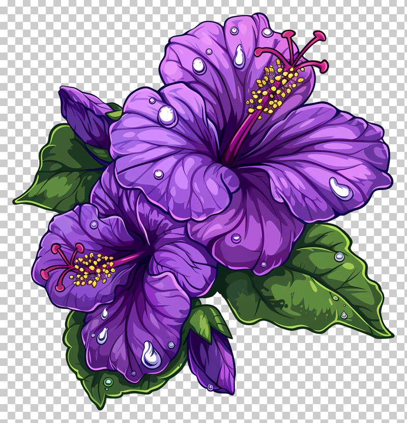 Purple Hibiscus - Purple Hibiscus With Leaves And Water Droplets PNG ...