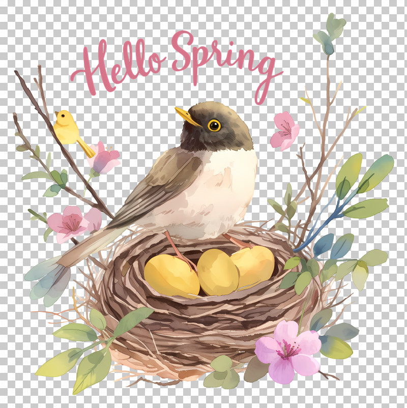 Hello Spring - Spring Bird With Nest And Eggs PNG, Clipart, Eggs ...