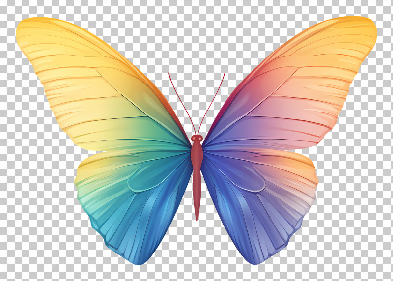 Rainbow Butterfly - Rainbow Butterfly With Gradient Wings PNG, Clipart ...