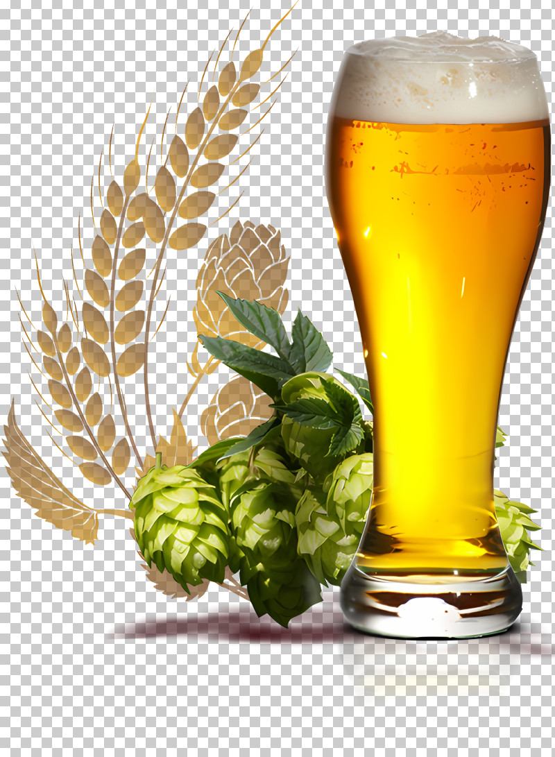 Beer - Beer Glass With Hops And Barley Design PNG, Clipart, Alcoholic ...