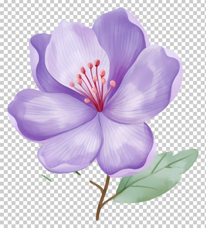 Purple Flower - Purple Flower Botanical Illustration PNG, Clipart ...