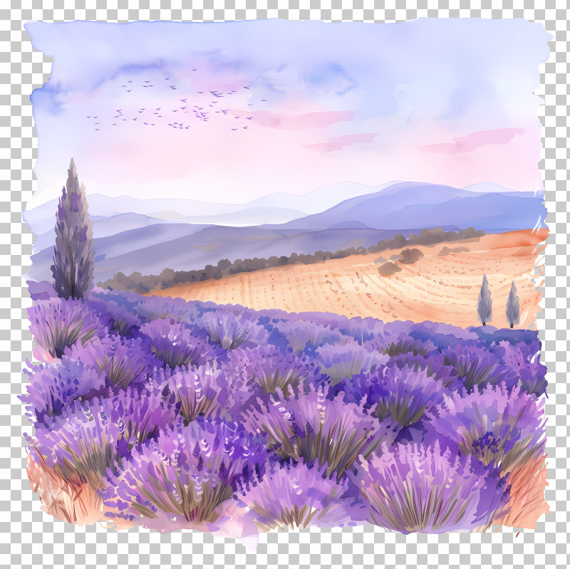 Lavender Field - Beautiful Lavender Field And Scenic Landscape PNG ...