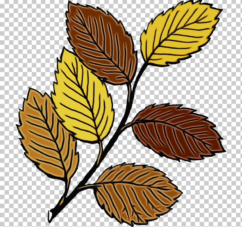 Leaf Drawing Cartoon Plant Stem Logo PNG, Clipart, Aquatic Plant ...