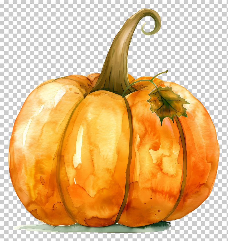 Pumpkin - Beautiful Orange Pumpkin Watercolor Illustration PNG, Clipart ...
