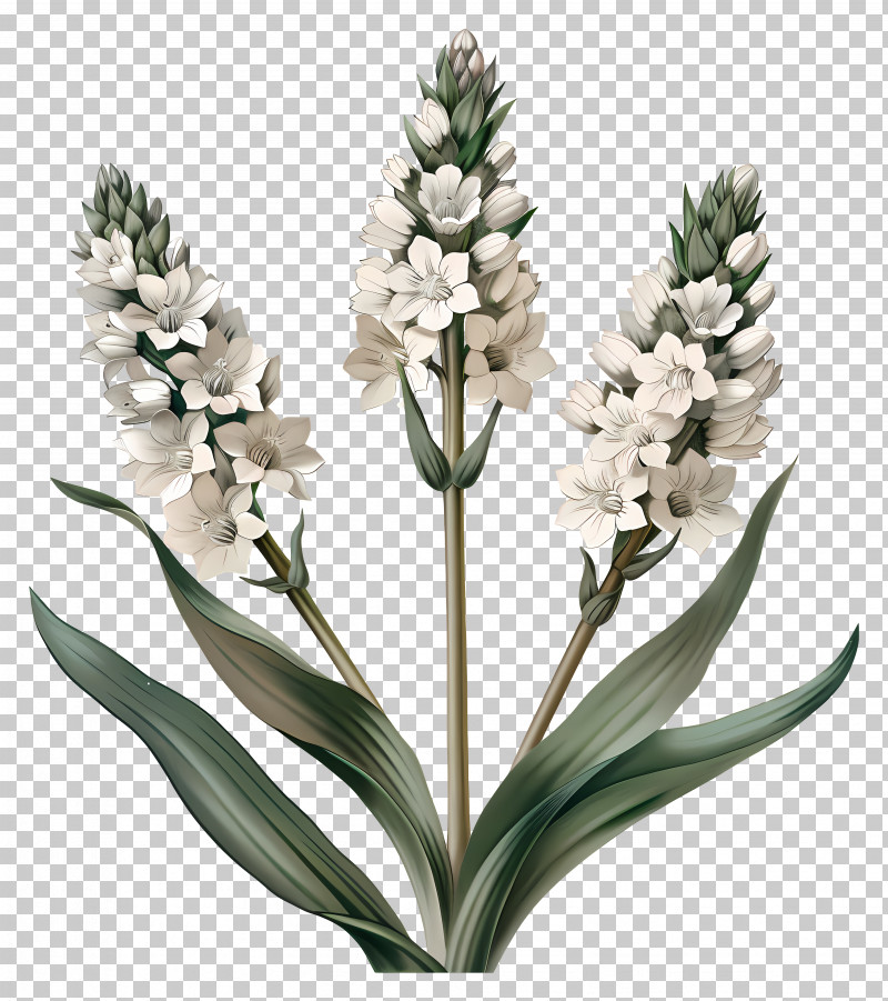 White Flowers - White Flowers With Green Leaves PNG, Clipart, Bloom ...