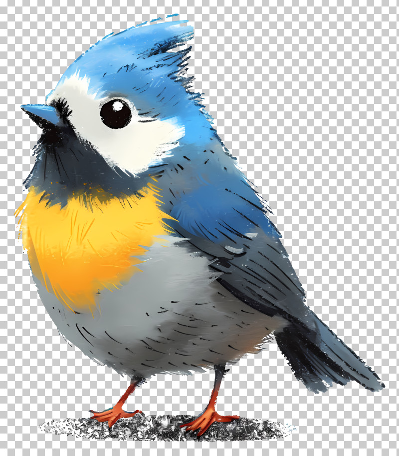 Bird - Cute Blue And Yellow Bird PNG, Clipart, Bird, Blue, Cartoon ...