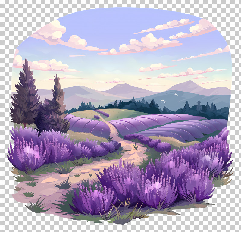 Lavender Field - Beautiful Lavender Field Illustration PNG, Clipart ...