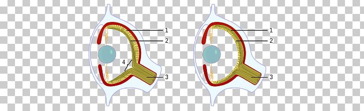 Octopus Cephalopod Eye Human Eye Blind Spot PNG Clipart Blank Eye 