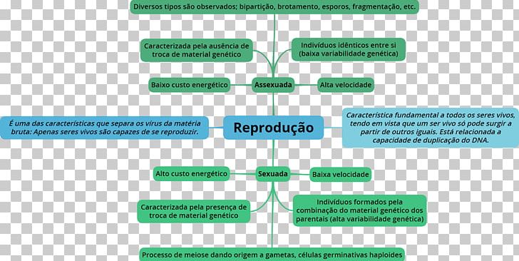 Asexual Reproduction Mind Map