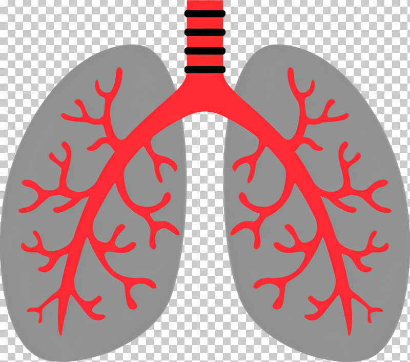 Lung - Human Lungs Anatomy Illustration PNG, Clipart, Anatomy, Biology ...
